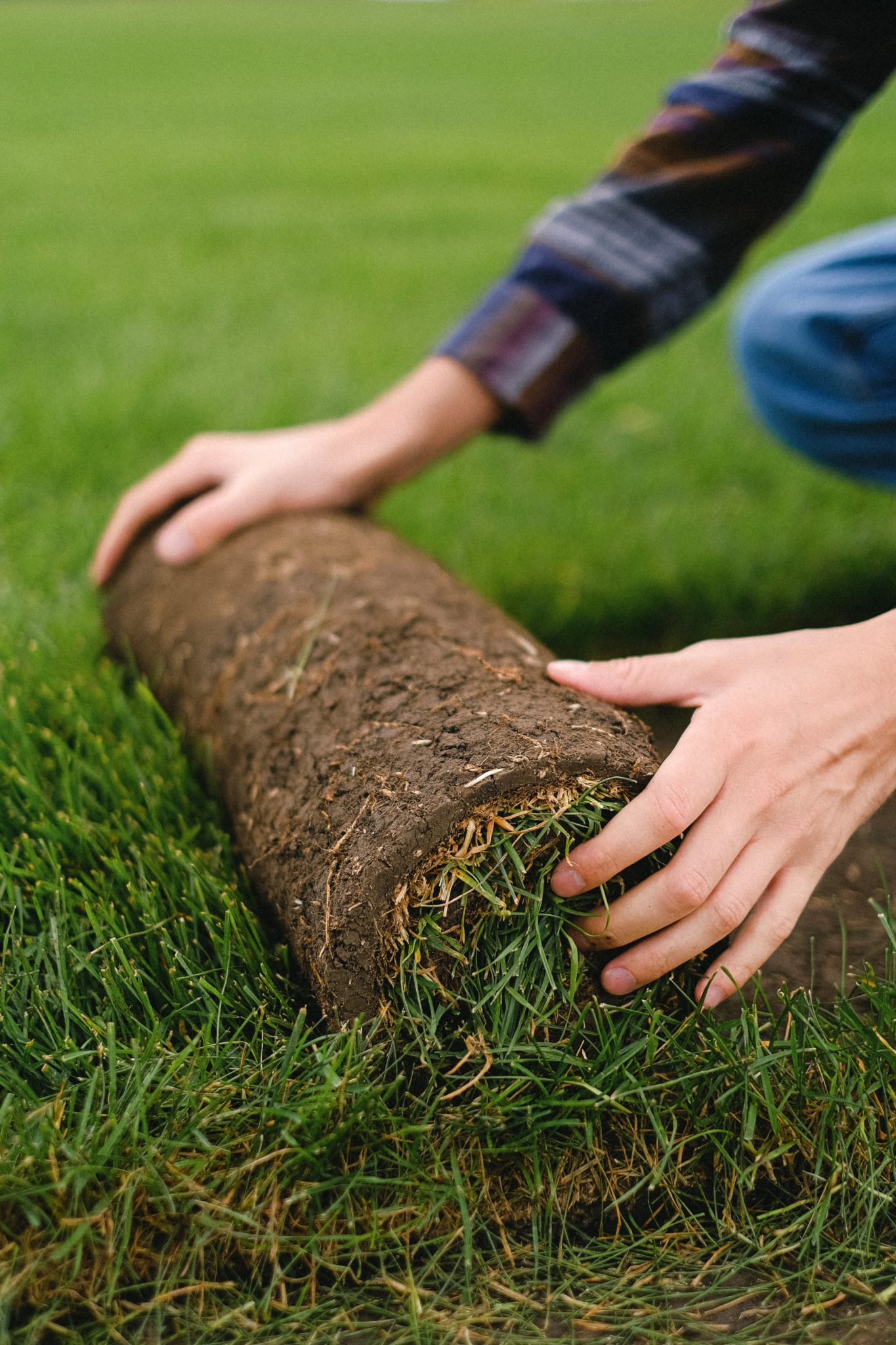Superior Quality Sod At An Affordable Price - Tvetene Turf
